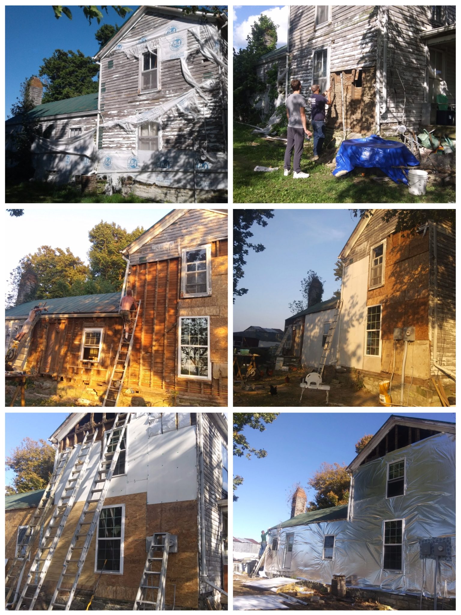 Grace Homestead Farm